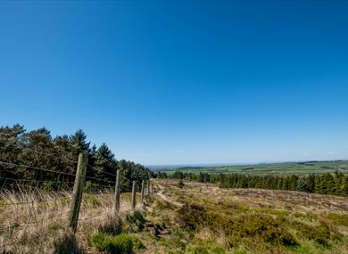 Beacon Fell Country Park - Country Park/Nature Reserve in Preston ...