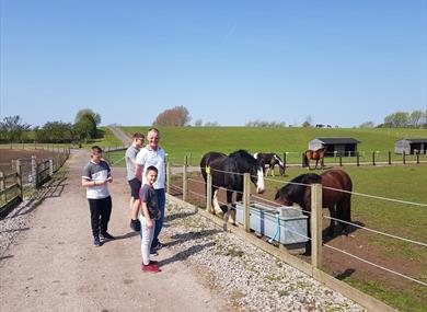 World Horse Welfare Penny Farm - Farm in Blackpool, Peel - Visit Lancashire