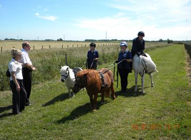 World Horse Welfare Penny Farm - Farm in Blackpool, Peel - Visit Lancashire