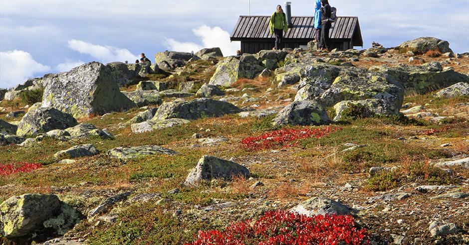 Nordseter | Hiking - Visit Lillehammer