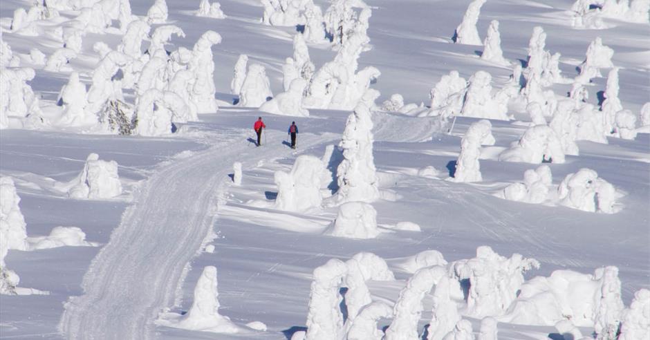 Sjusjøen cross-country ski resort - Lillehammer.com