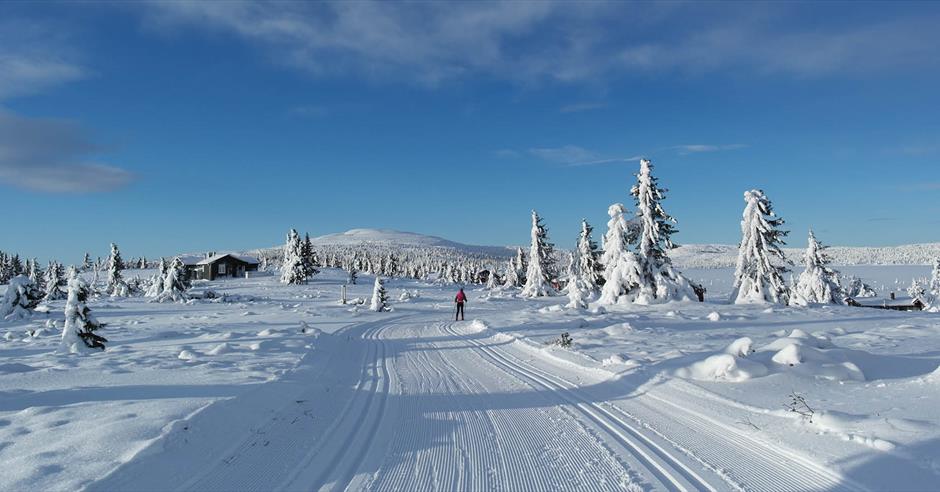 Nordseter - Visit Lillehammer