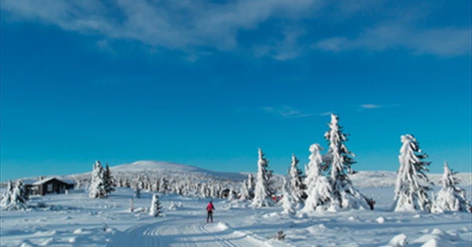 Webkamera - Visit Lillehammer