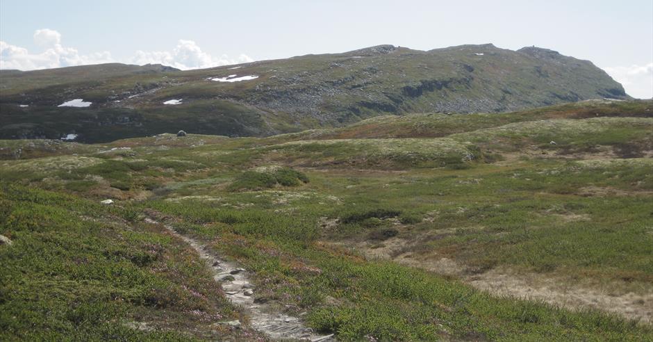 Kvitfjell - Storfjellet (38,6 km) - Bicycle in Fåvang, Kvitfjell ...
