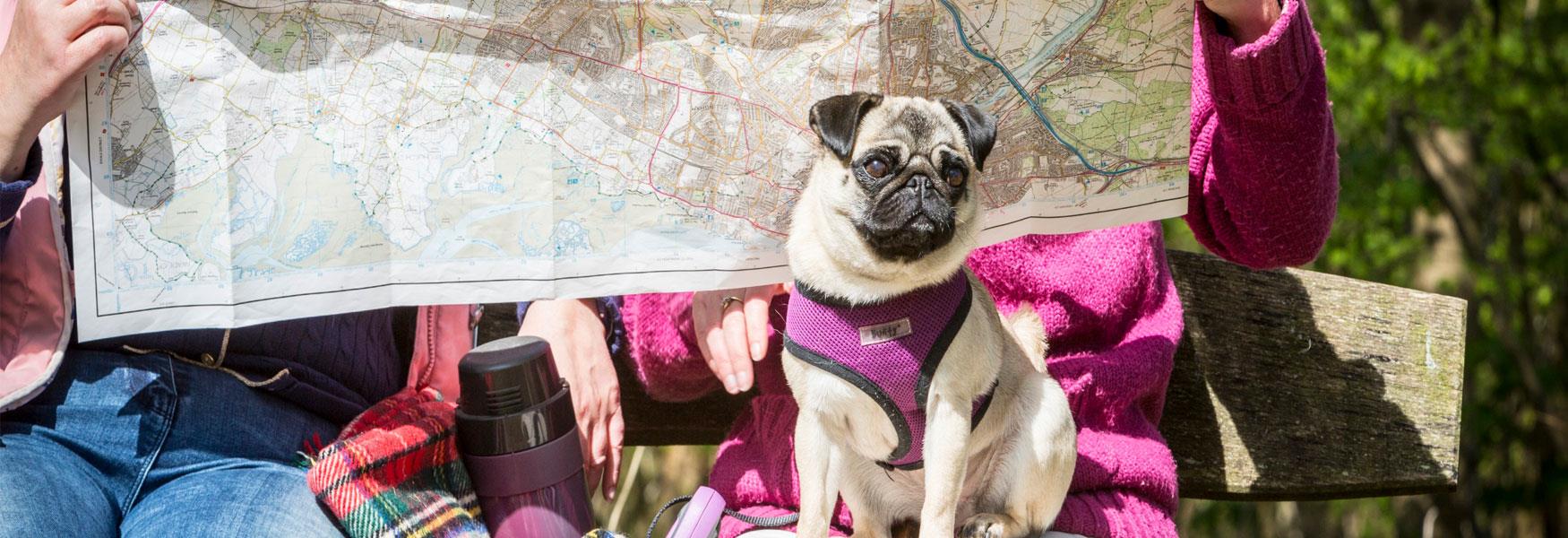 Heart of Kent Walking Festival