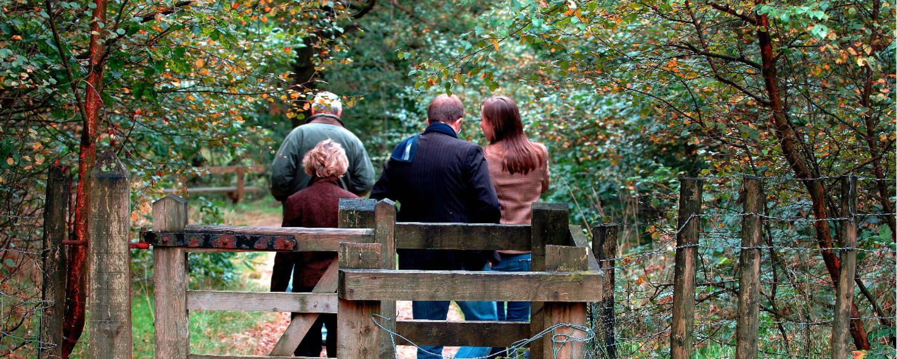 20 Outstanding Manchester Walking Routes | Walks in Manchester