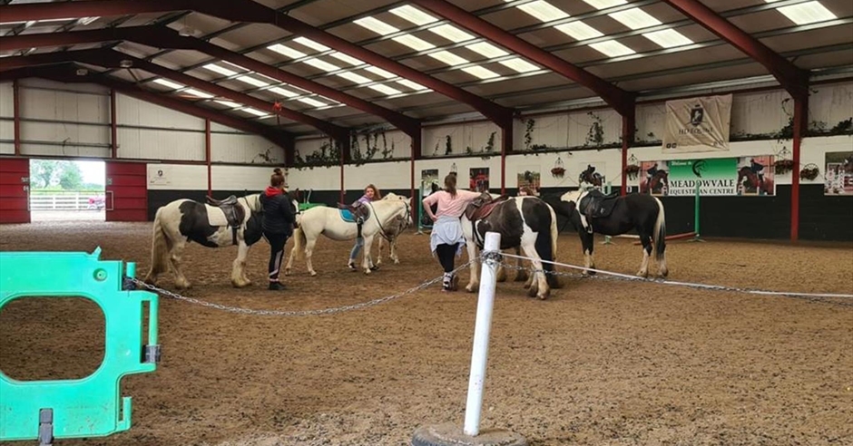 Meadowvale Equestrian Centre - Equestrian in Magherafelt, Magherafelt ...
