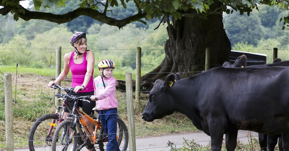 Blessingbourne Mountain Bike Trails and Pump Track - Mountain Biking ...