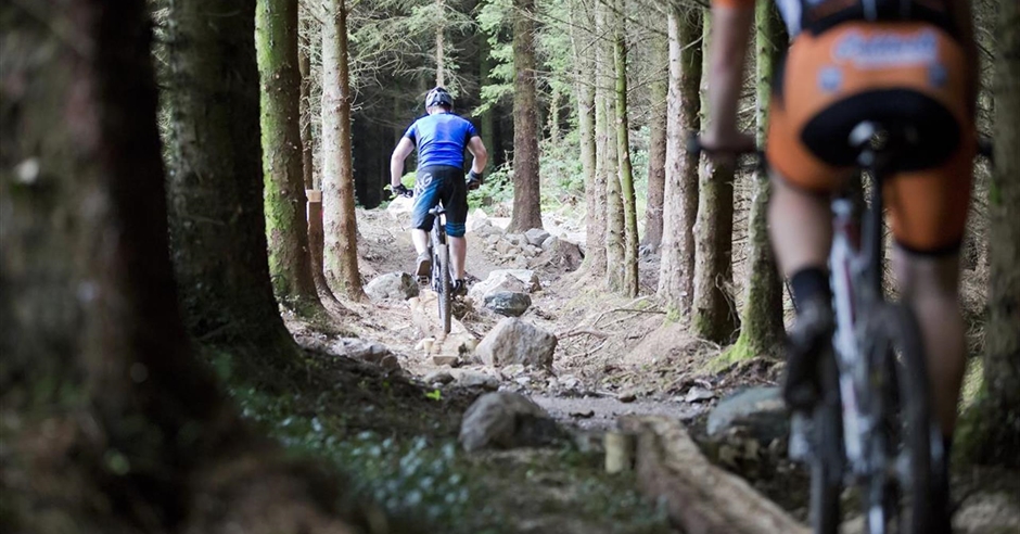 Blessingbourne Mountain Bike Trails and Pump Track - Mountain Biking ...