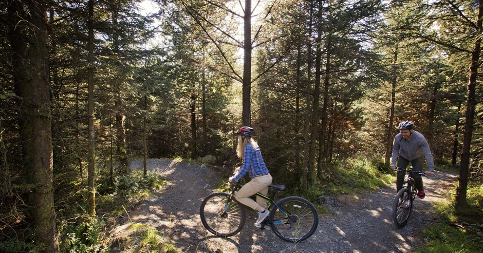 Davagh Forest Trails - Mountain Biking Trails in Cookstown, Cookstown ...