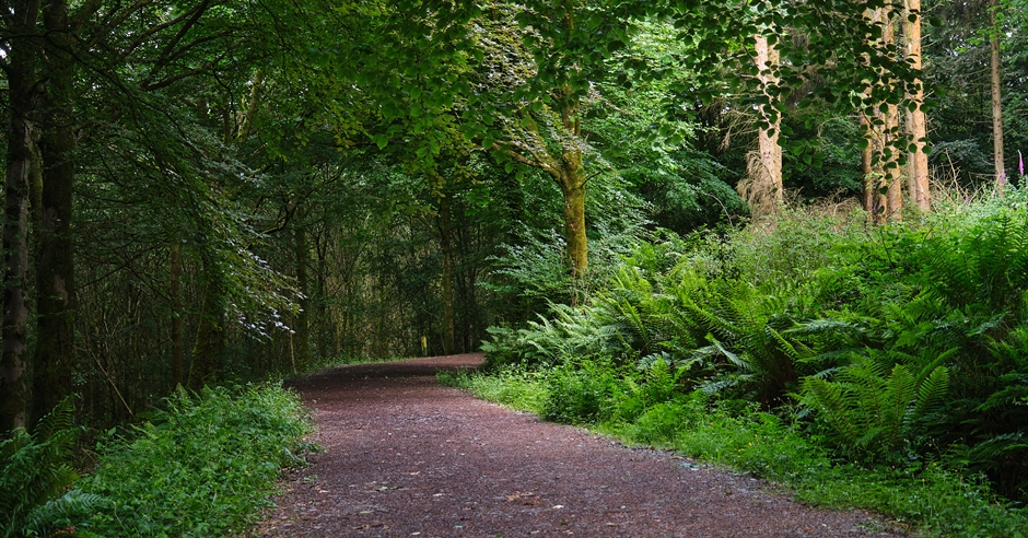 Iniscarn Forest - Forest Parks in Magherafelt, Northern Ireland - Visit ...