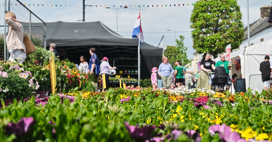 Cookstown Continental Market - Markets / Fairs in Cookstown, Cookstown ...