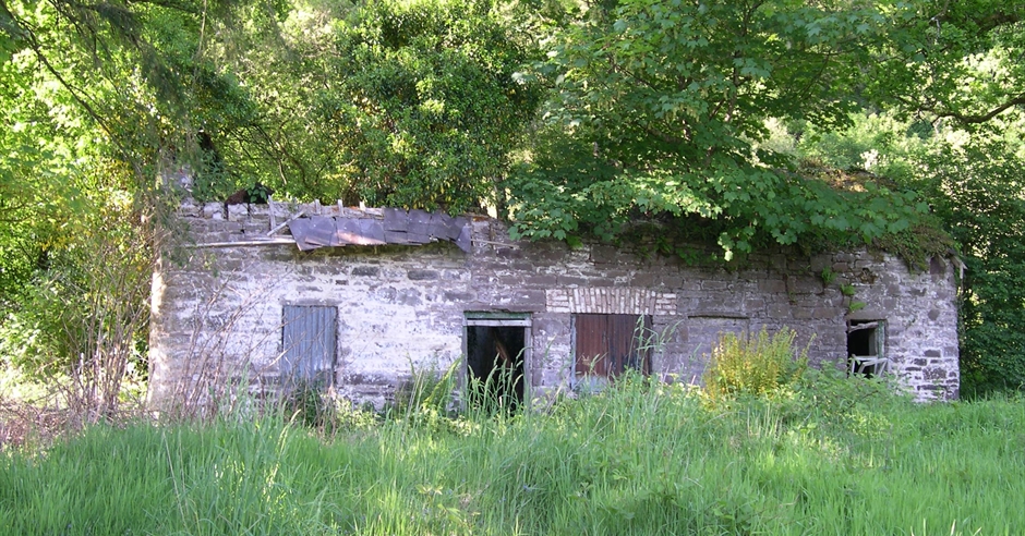 Spirit of Knockmany - Guided Tour in Augher, Augher - Visit Mid Ulster