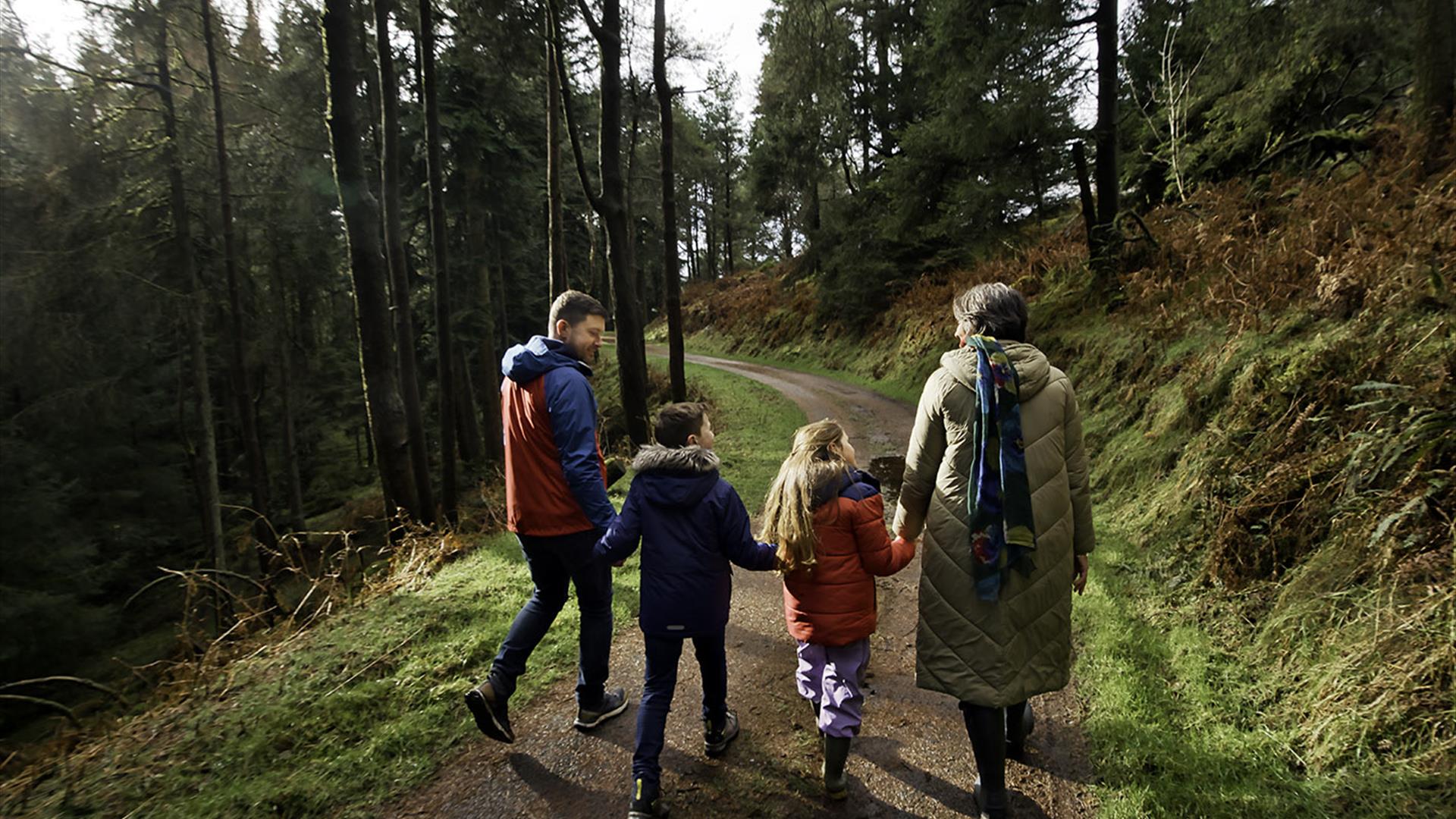 Davagh Forest - Forest Parks in Cookstown, Cookstown - Visit Mid Ulster