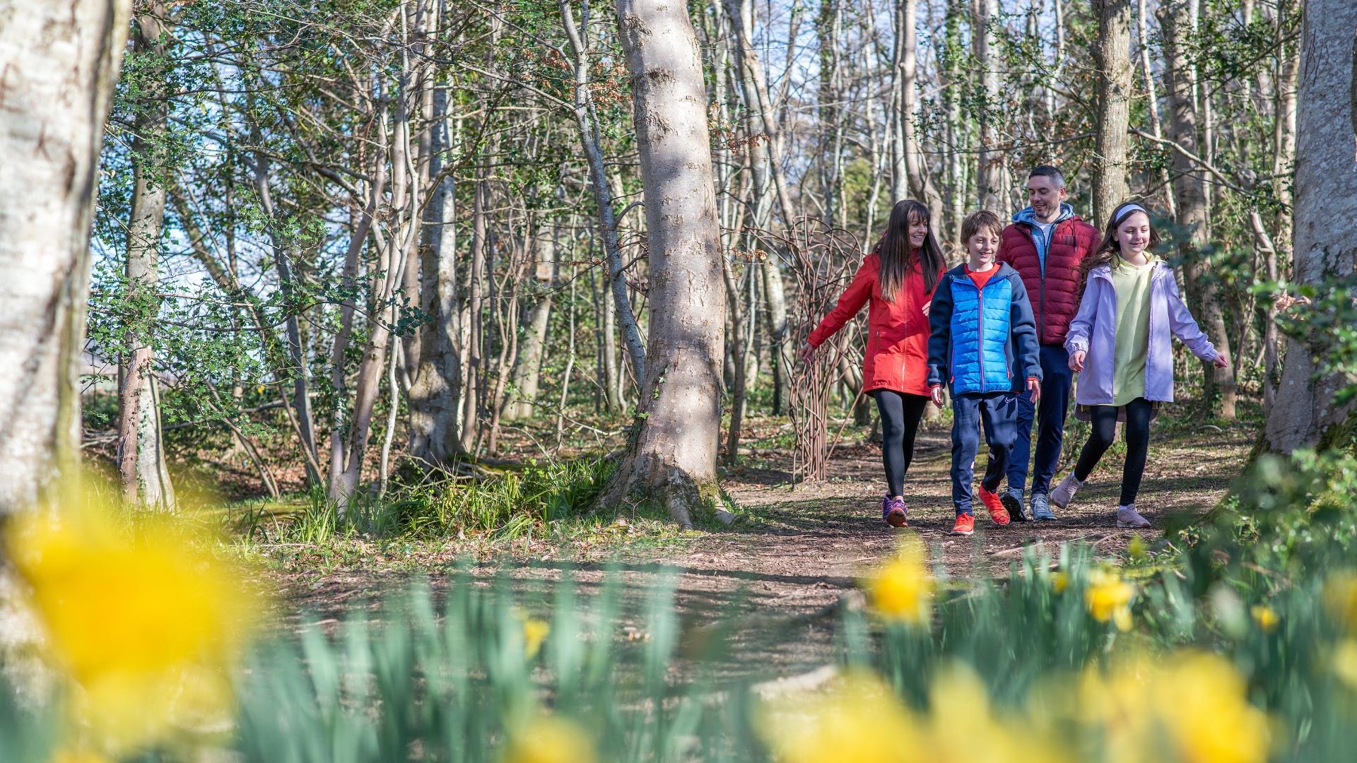 Kilbroney Park, Rostrevor | Visit Mourne Mountains