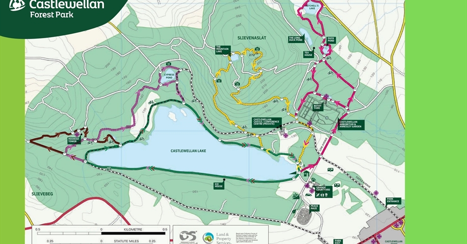 Castlewellan Forest Park | Walking Trails