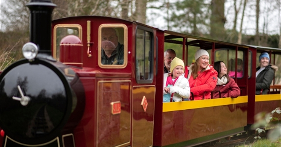 Fort Evergreen Pet & Play Farm - Warrenpoint - Visit Mourne Mountains