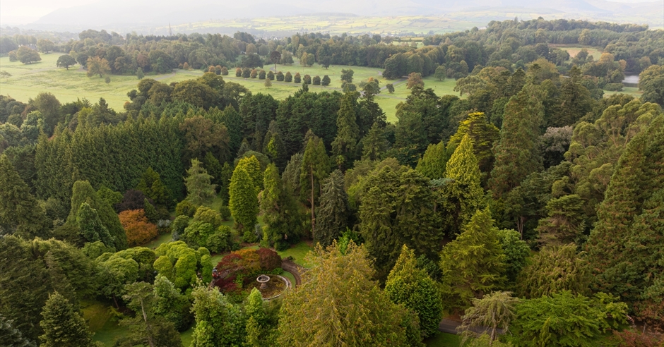 Castlewellan Annesley Garden Tree Trail - Castlewellan - Visit Mourne ...