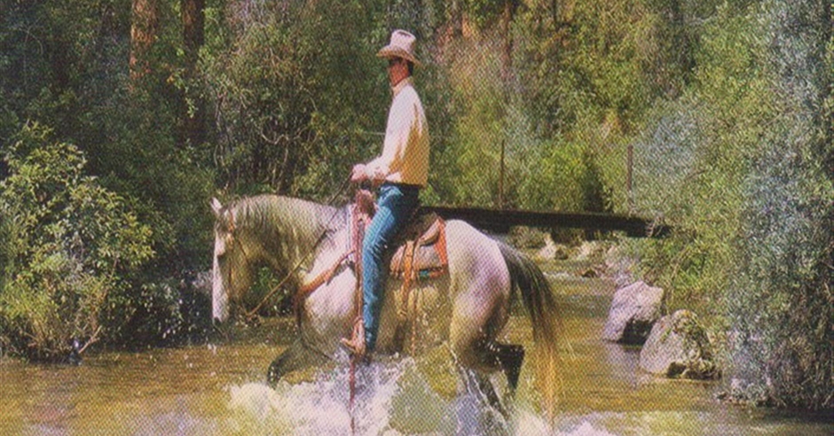 Western Style Horse Riding - Newry - Visit Mourne Mountains