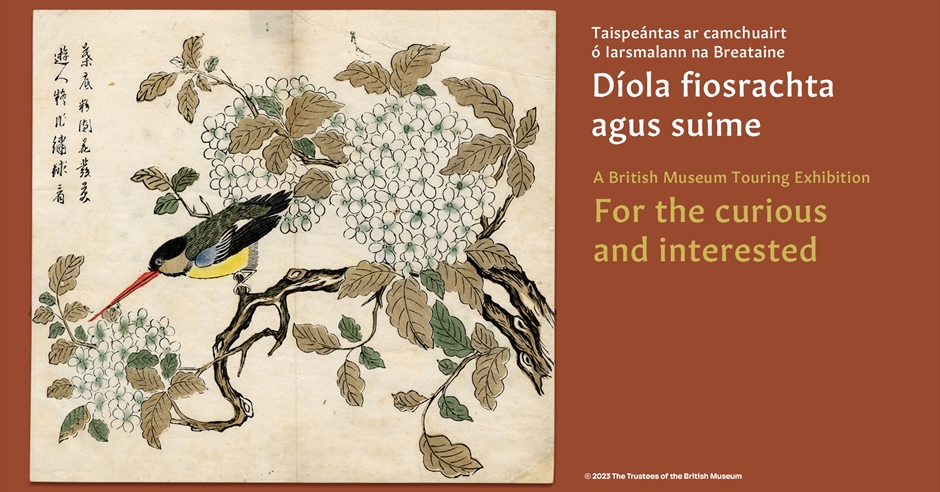 Curator Talk On For The Curious And Interested Exhibition Downpatrick