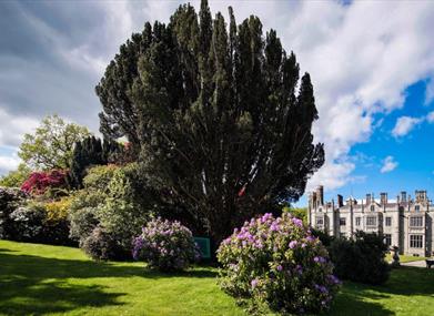 Narrow Water Castle Tour - Warrenpoint - Visit Mourne Mountains