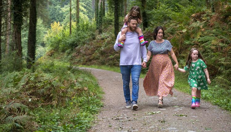 Cardinham Woods - Things to Do