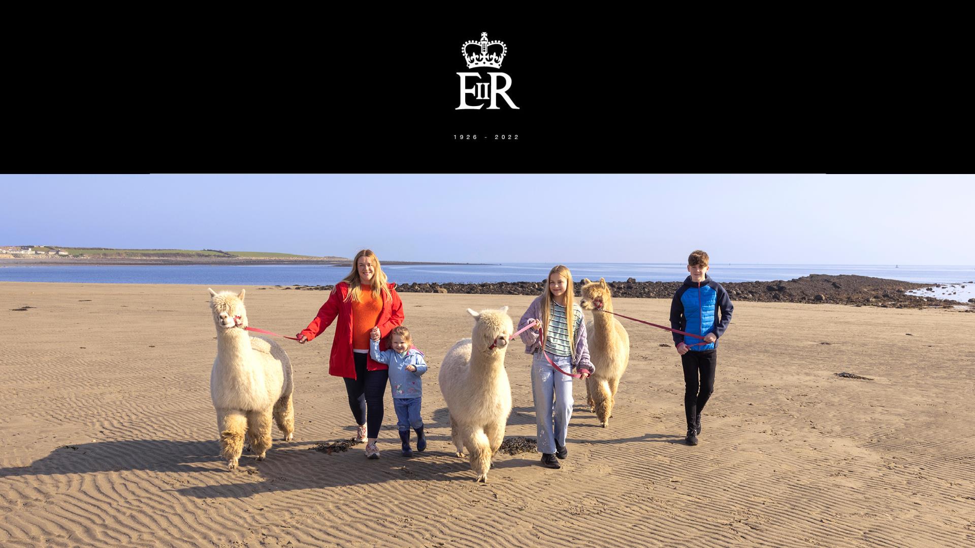 Discover Northern Ireland | Visit Northern Ireland | Tourism NI