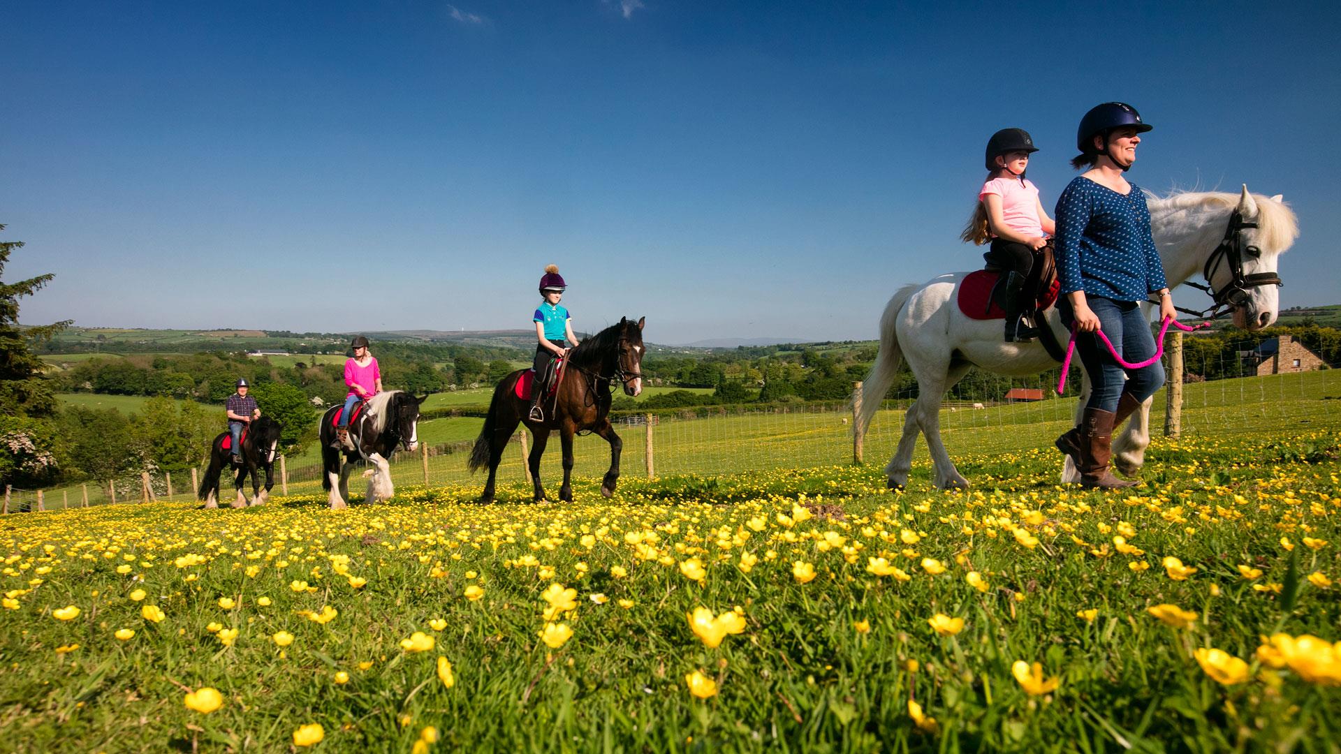 Horse Riding in Northern Ireland | Discover NI