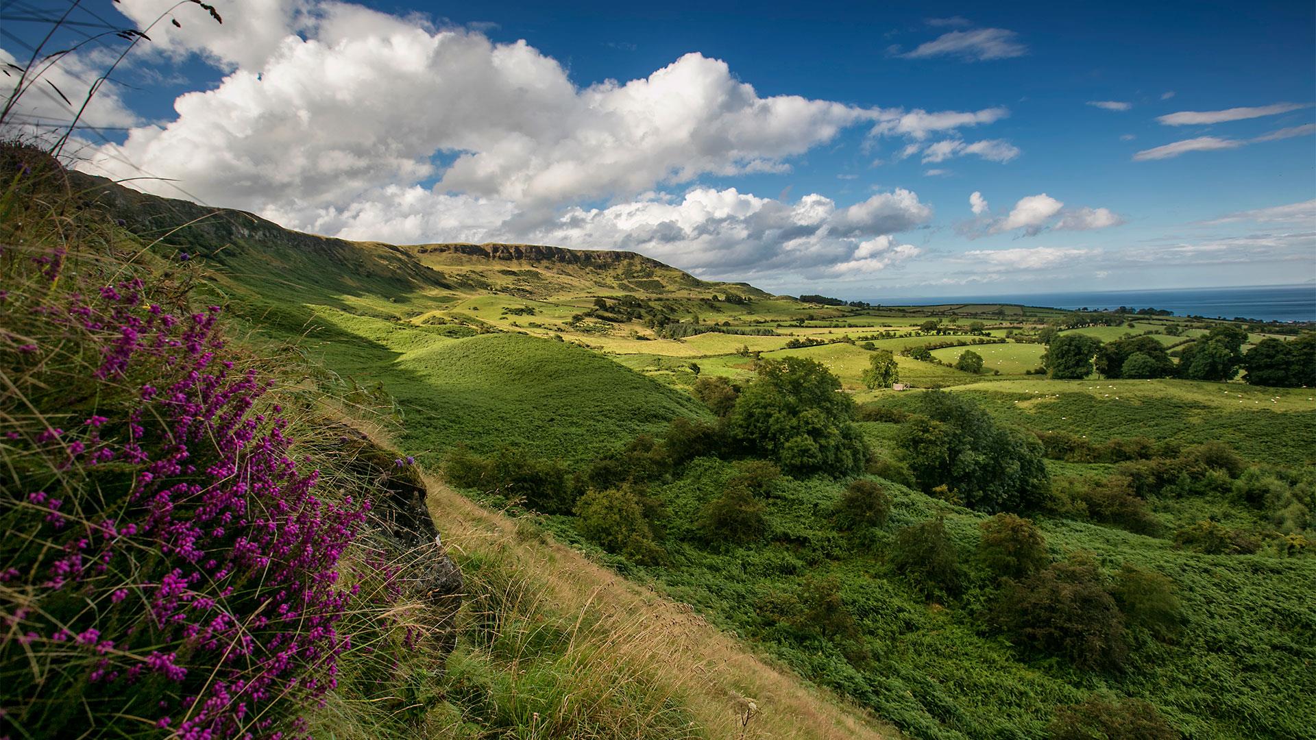 Getting to County Antrim - Discover Northern Ireland