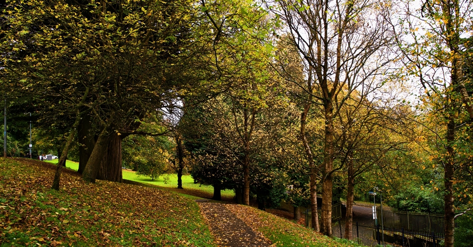 Autumn Leaves in Belfast | Autumn Inspiration
