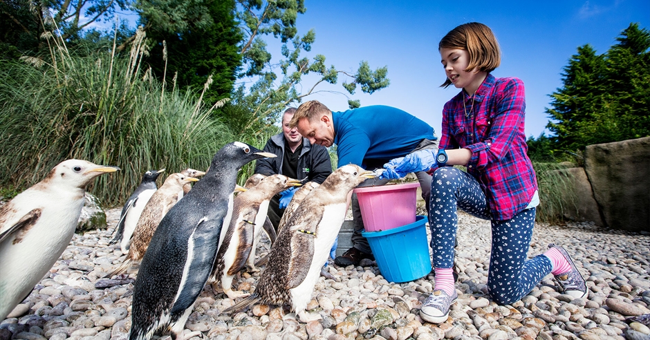 Family fun | Attractions suited to all ages