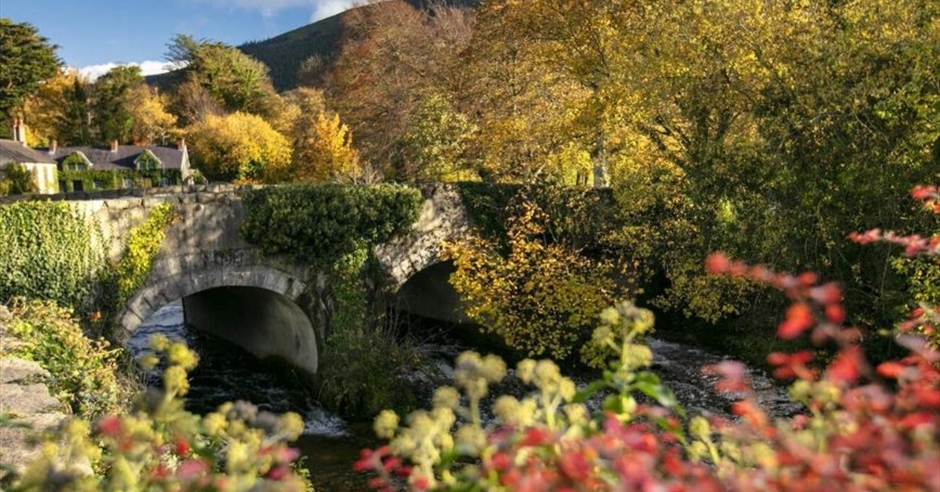 11 Things to do on a sunny day