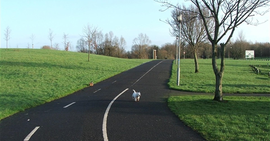 Craigavon Lakes - - Discover Northern Ireland