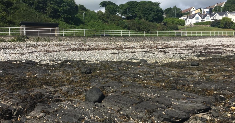 Larne's Jurassic Coastline - Waterloo Bay - Larne - Discover Northern ...