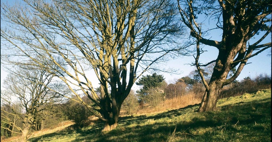 Redburn Country Park - Holywood - Discover Northern Ireland