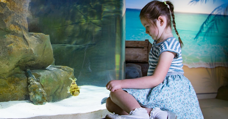 Exploris Aquarium & Seal Sanctuary - Portaferry - Discover Northern Ireland