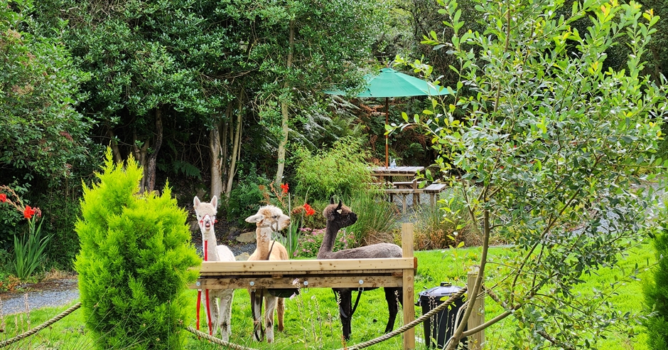 Ballyburren Outdoor Escapes - Ballynahinch - Discover Northern Ireland