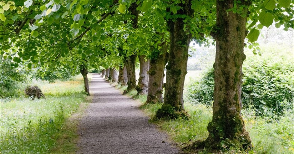 The Argory - Moy - Discover Northern Ireland