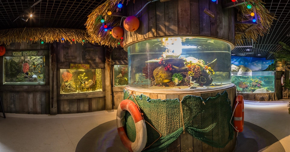 Exploris Aquarium - Portaferry - Discover Northern Ireland