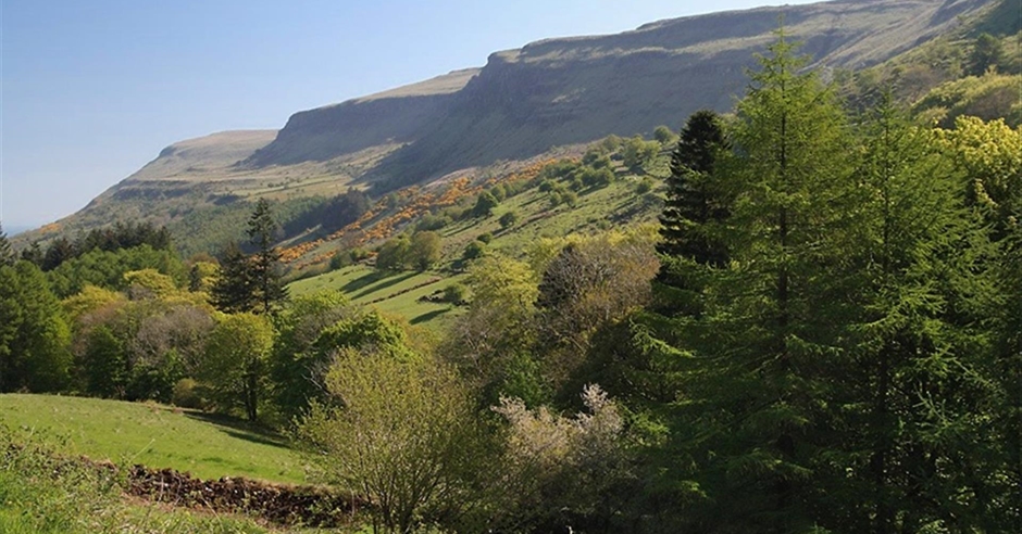 Glenariff Forest Park, Scenic Trail - Glenariff - Discover Northern Ireland