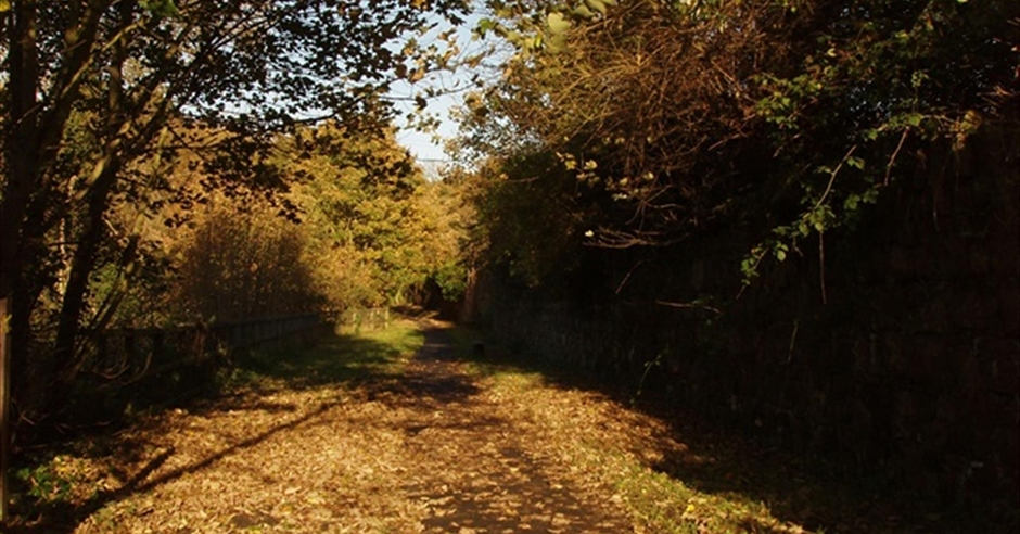 Lagan Towpath - - Discover Northern Ireland