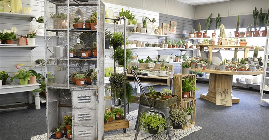 Creative Gardens at Donaghadee Garden Centre - Donaghadee - Discover ...