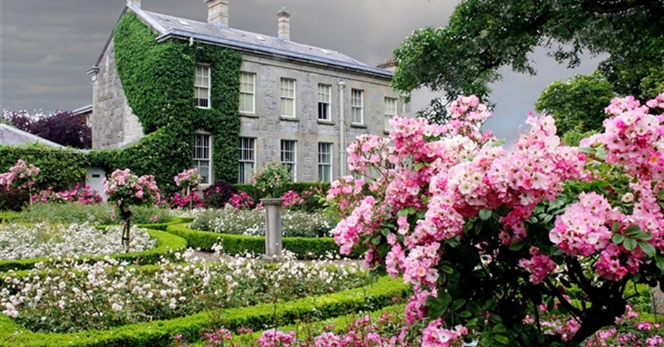 The Argory Lime Tree Walk - Moy - Discover Northern Ireland