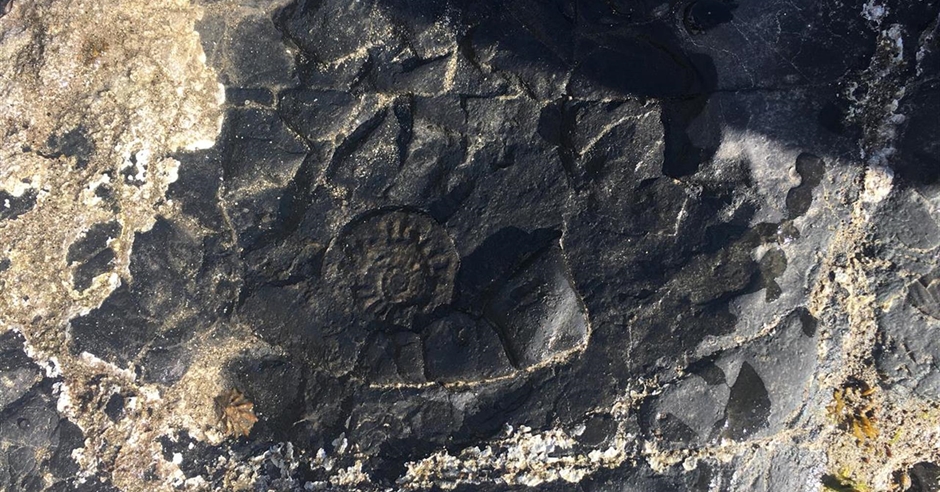 Larne's Jurassic Coastline - Waterloo Bay - Larne - Discover Northern ...