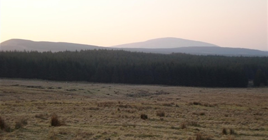 Croaghan Breen Forest Walk - Armoy - Discover Northern Ireland