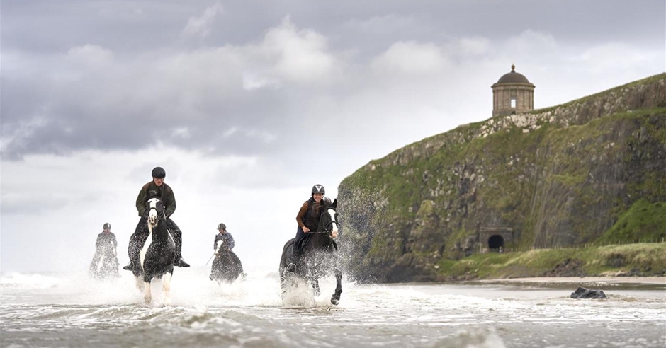 Sheans Horse Farm - Ballymoney - Discover Northern Ireland