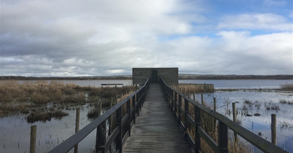 Portmore Lough - Craigavon - Discover Northern Ireland