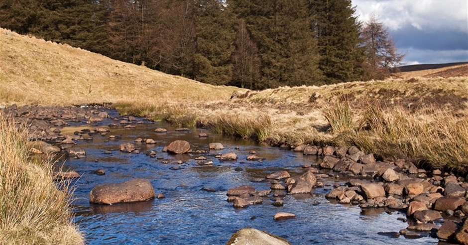 Moyle Way - Ballycastle - Discover Northern Ireland