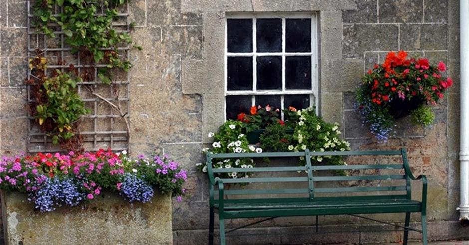 The Argory Lime Tree Walk - Moy - Discover Northern Ireland