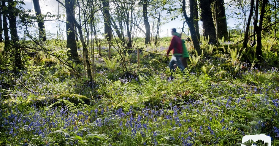 Cladagh Glen Walk - - Discover Northern Ireland